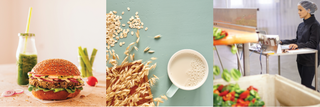 Agri Food Processing Division - CustomAgIntel