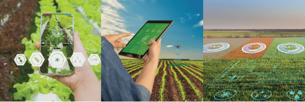 Crop Scouting and Monitoring Division - CustomAgIntel